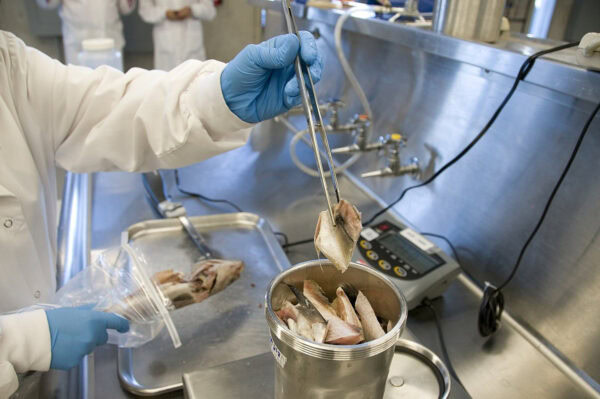 Food Labs: An Introduction To The Food Laboratory Cleanroom