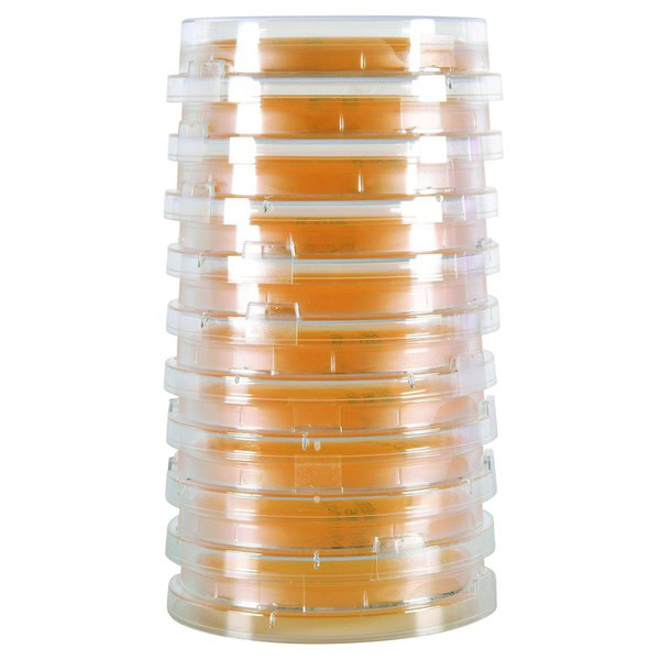 Hardy P595: Sabouraud Dextrose Agar with Lecithin & Tween